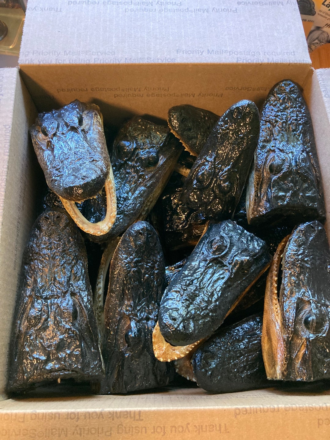 20 Scratch and Dent Gator Heads - Etsy