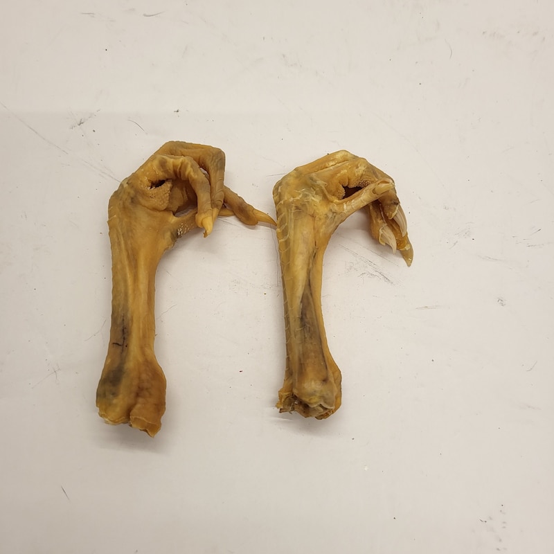 Hoodoo Chicken Feet - Etsy