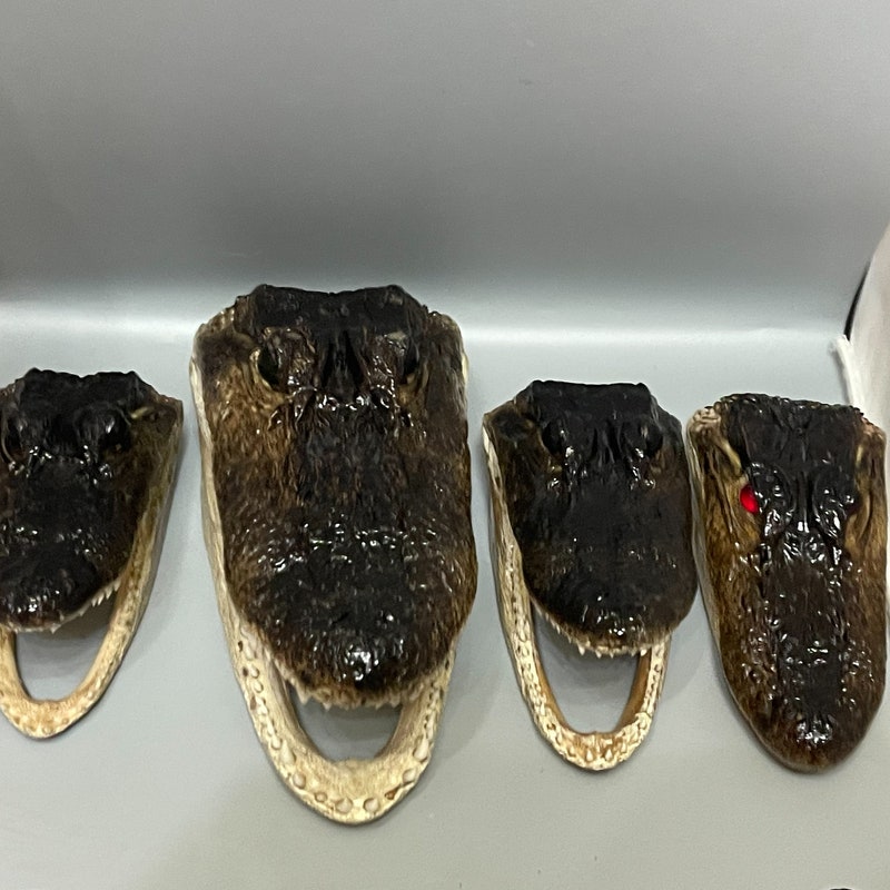 Alligator Heads - Etsy