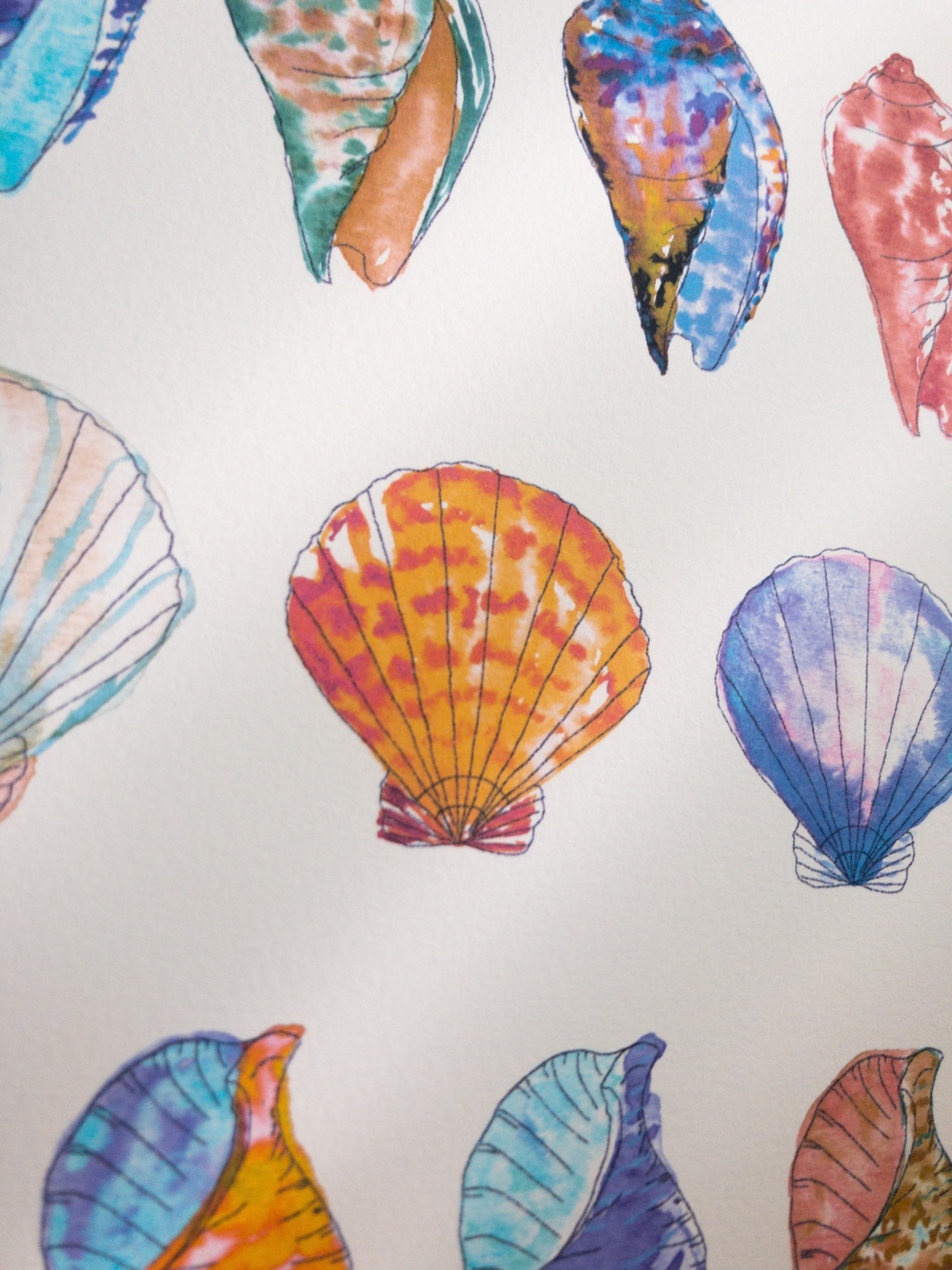 Watercolor Seashell Print, Beach House Art - Etsy