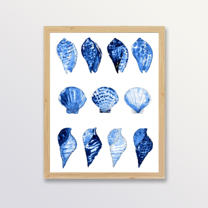 Seashell Watercolor - Etsy