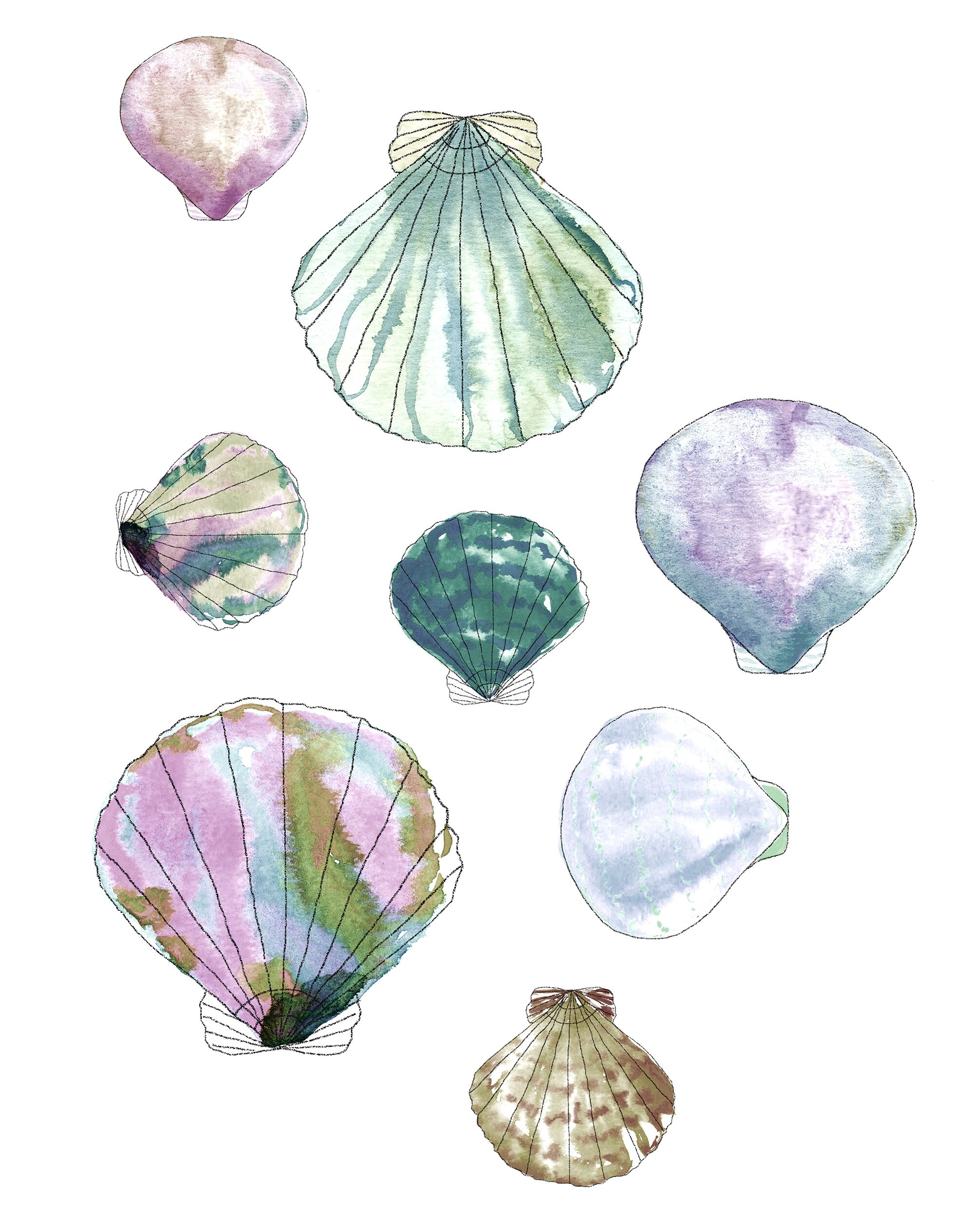 Pastel Watercolor Seashells Wall Art - Etsy