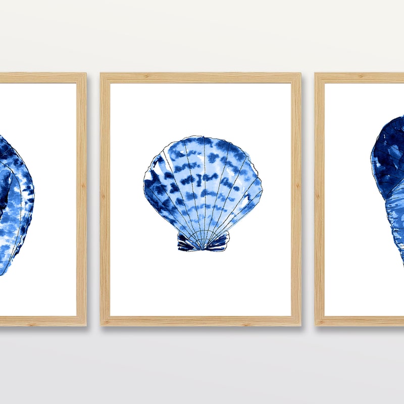 Seashell Watercolor - Etsy