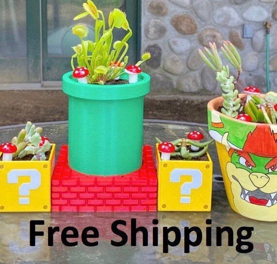 Mario Bros Succulent Planter With Drainage - Etsy