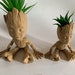 Groot Succulent Planter Marvel Succulent Pots - Etsy