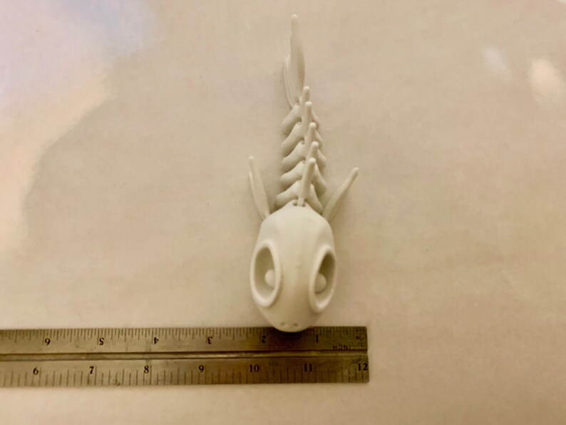 Bonefish Fidget Toy | Etsy