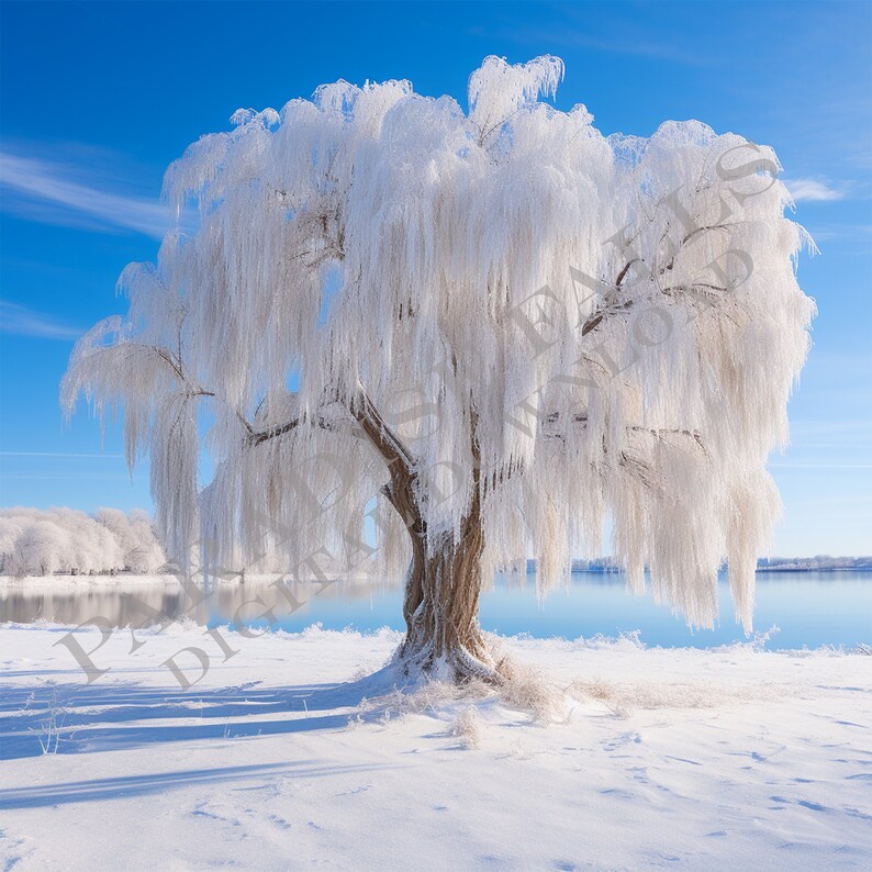 Snowy Weeping Willow Tree Scenic Print Instant Art Printable Wall Decor ...