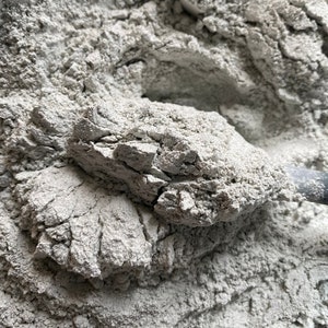 Natural Remineralizing Tooth Powder With Myrrh Resin Neem & Clove ...