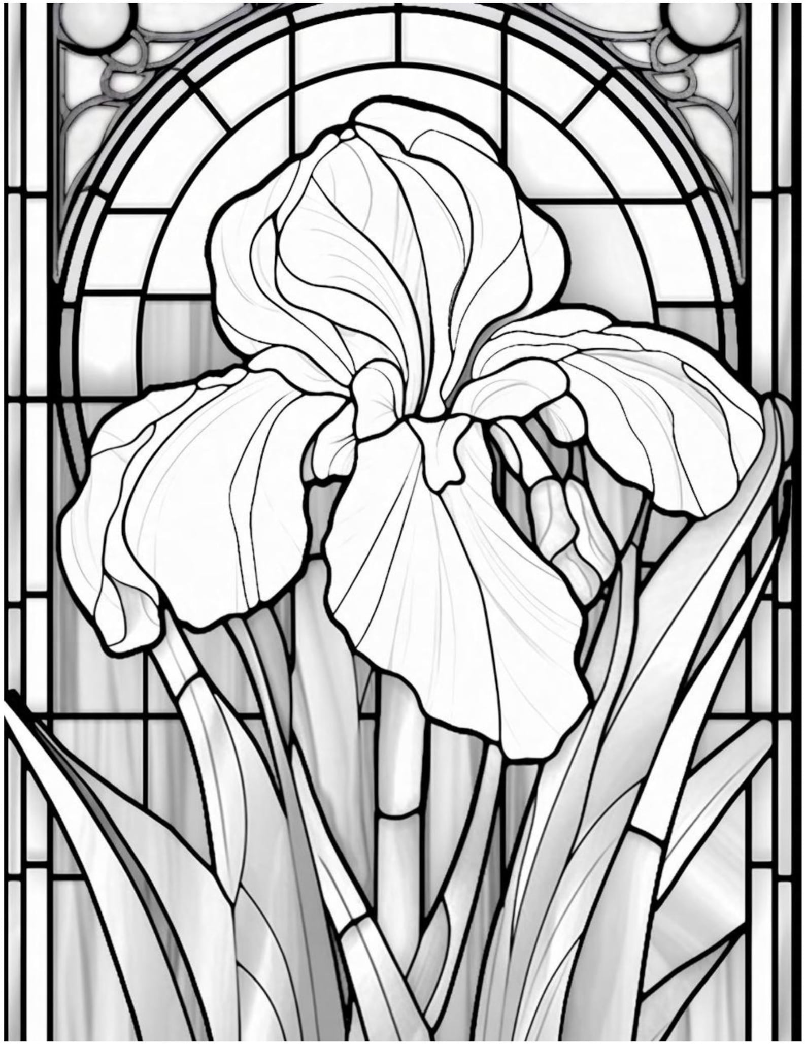50 Flower Stained Glass Coloring Pages: Stress Relief (digital Download ...