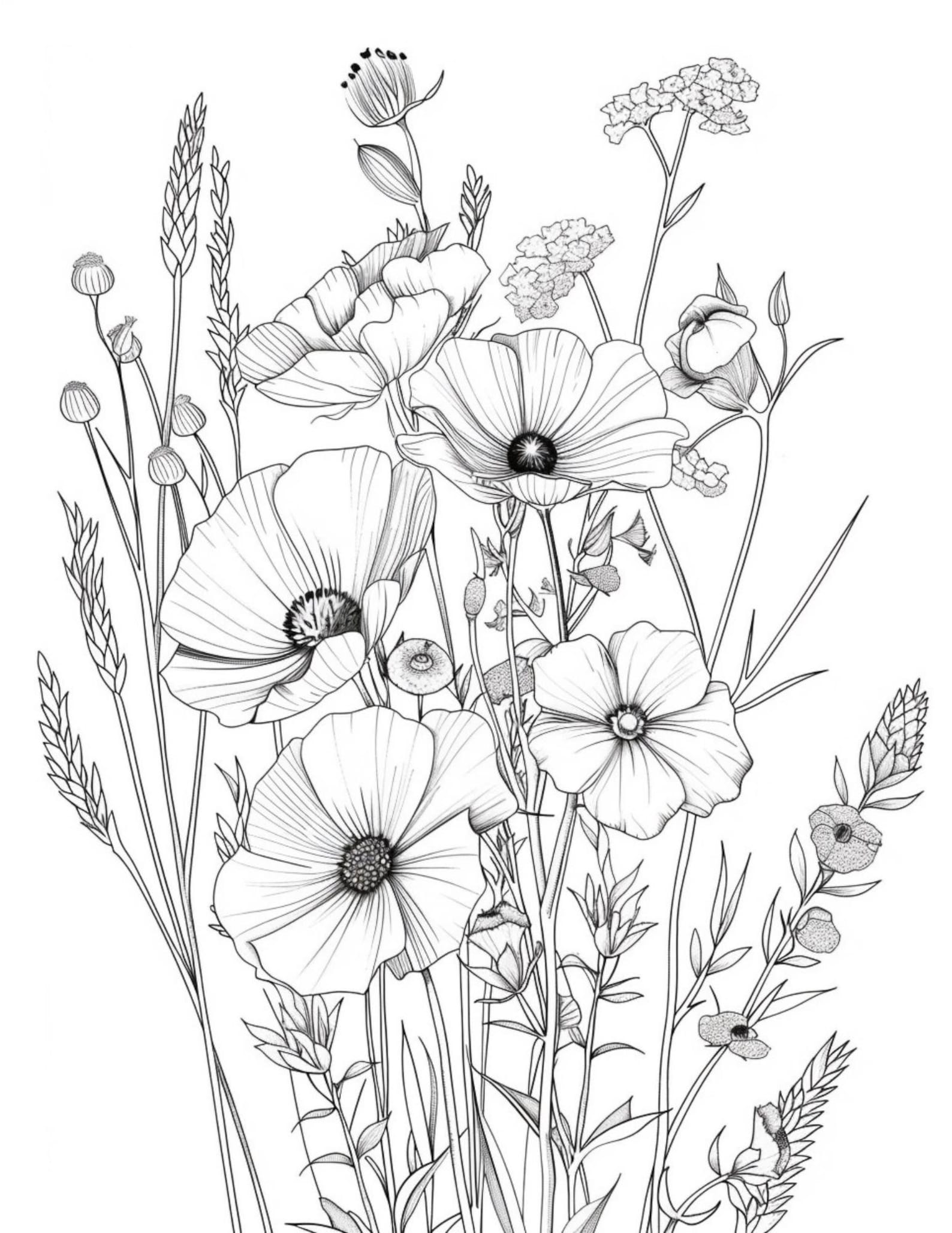 Wildflower Coloring Pages for Adults: 50 Stress Relief Designs (PDF ...