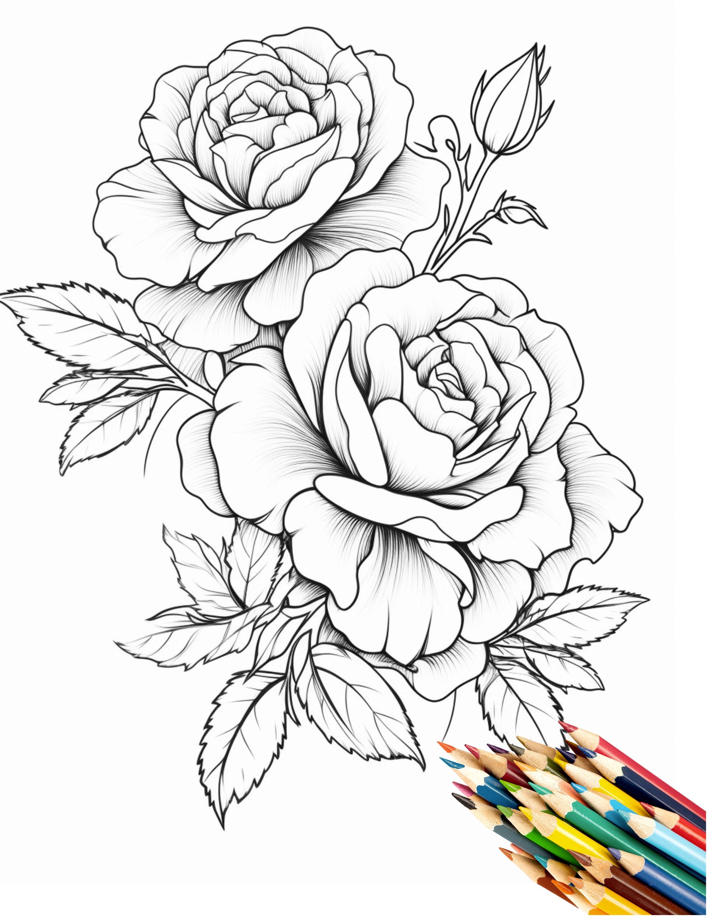 100+ Rose Coloring Pages: Stress Relief Floral Designs (digital ...