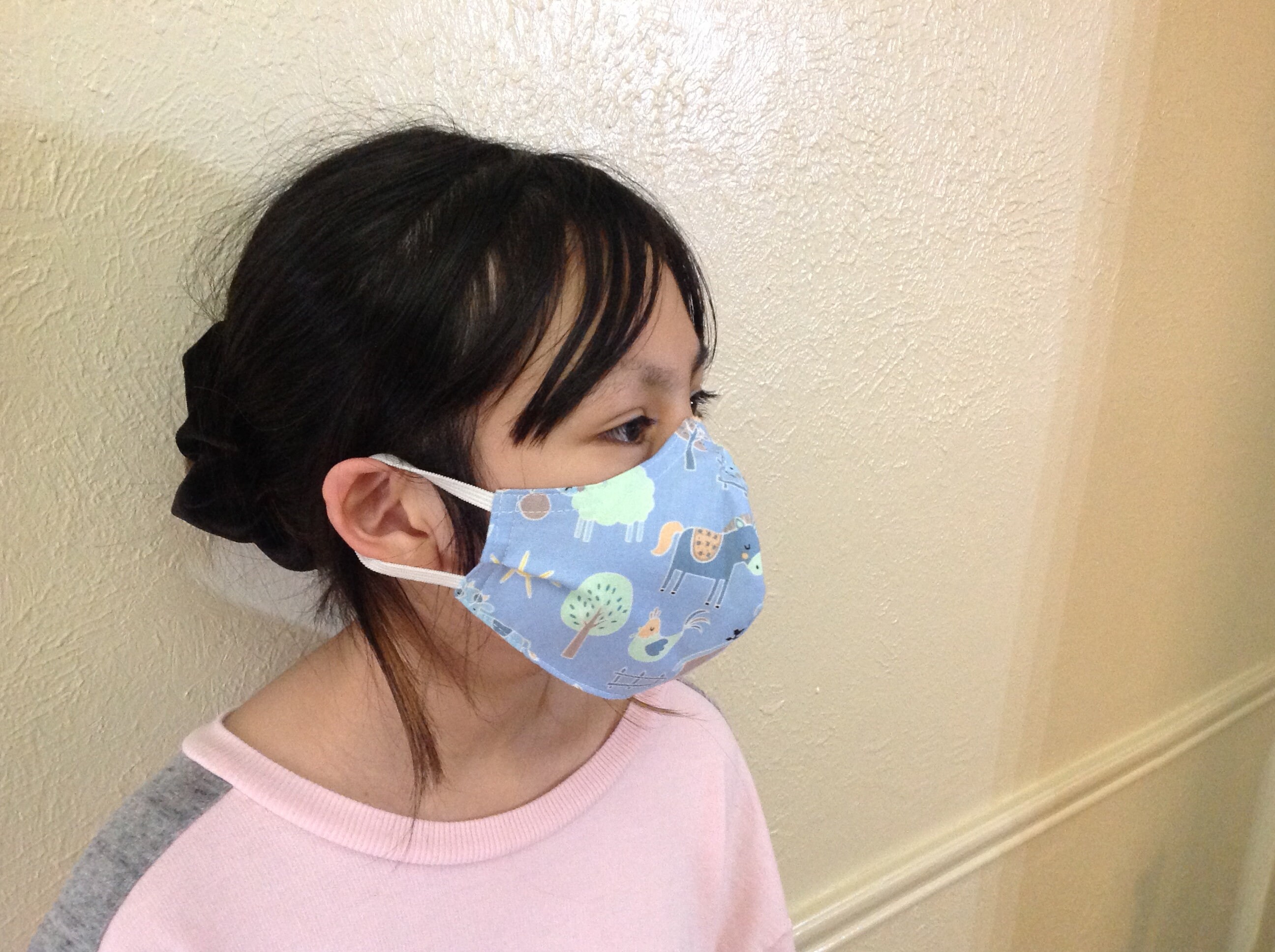 Junior Size Girls & Boys Face Masks / Kiddo's Sized: | Etsy