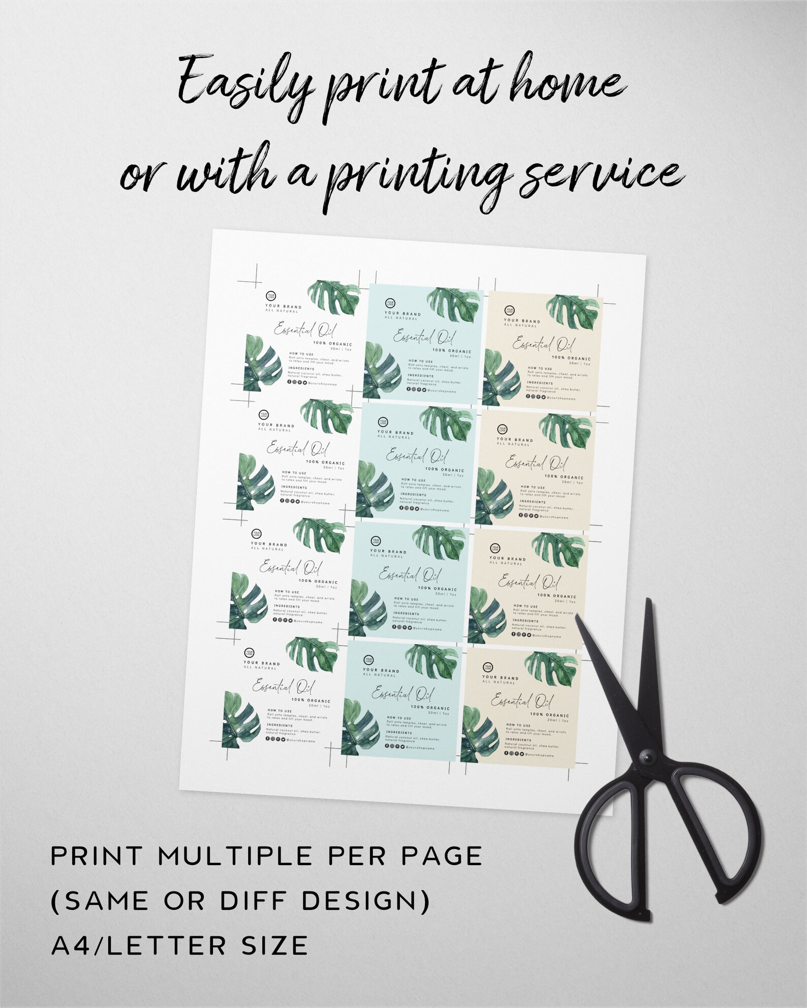 Monstera 10ml Roller Bottle Label Template - DIY Oil Blend Label Design ...
