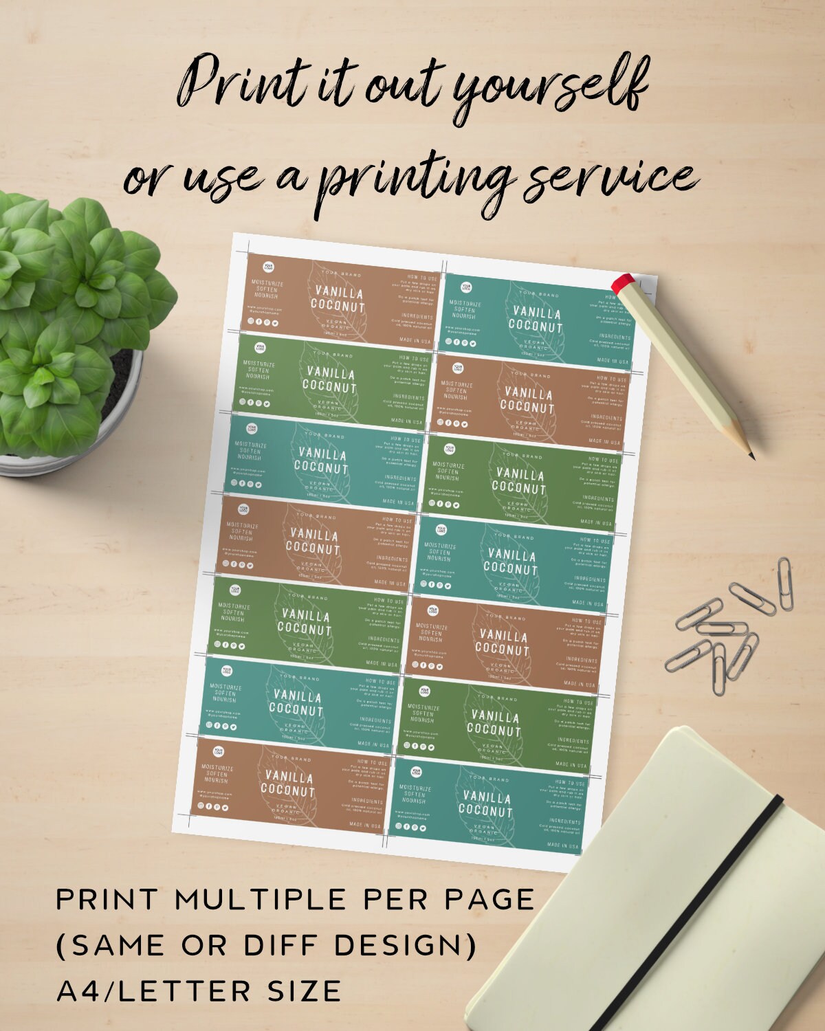 Colorful Dropper Label Template Label Bottle Design Face - Etsy