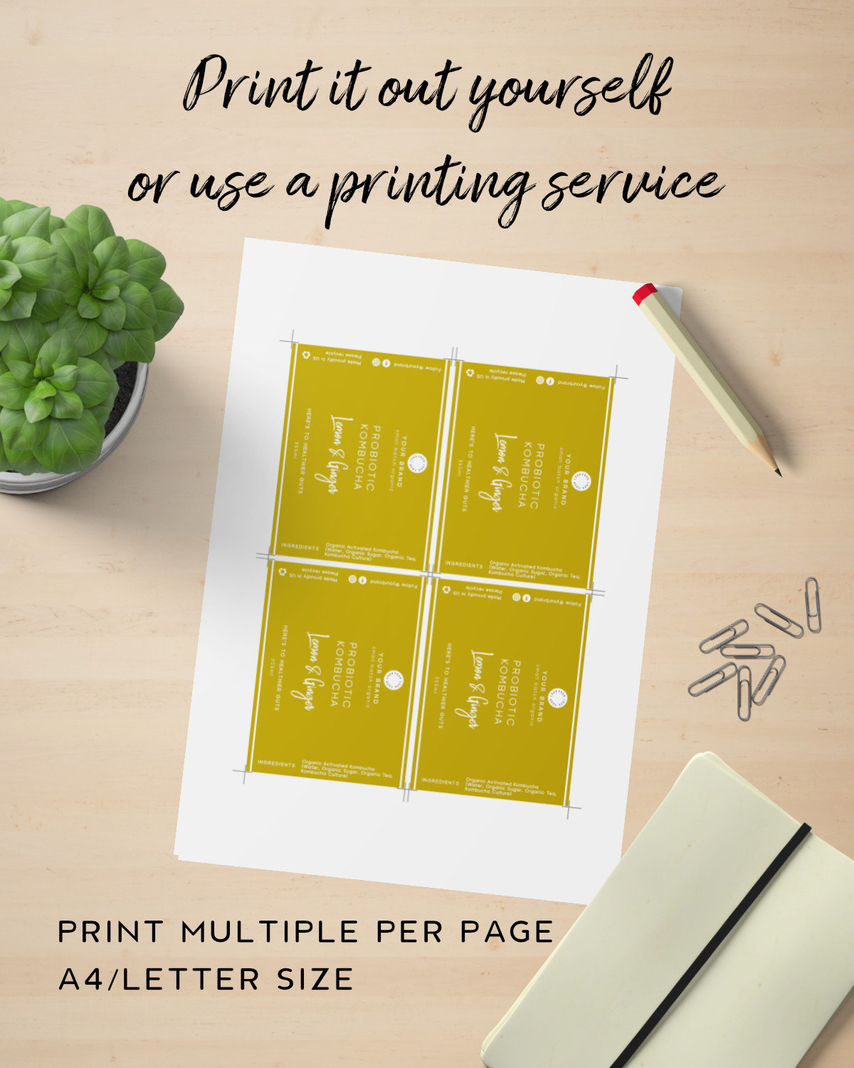 Editable Kombucha Label Template Beer Bottle Label Design - Etsy