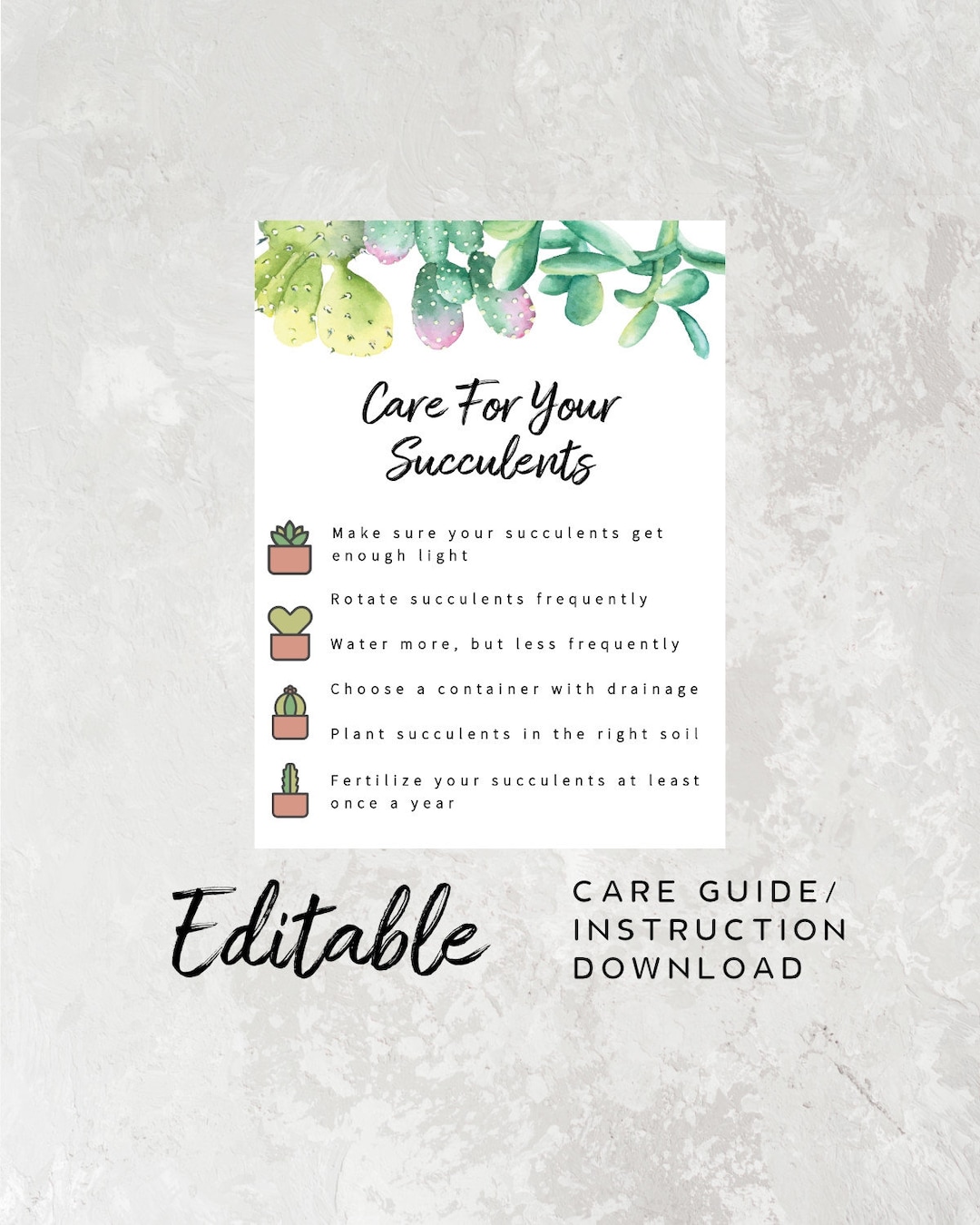 Succulent Care Guide Insert - Printable Care Guide Plants, Care ...