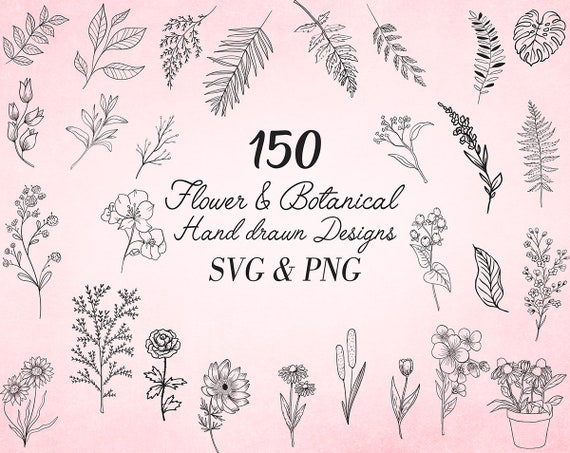 Botanical SVG Bundle Flower Cut File Floral SVG Bundle - Etsy