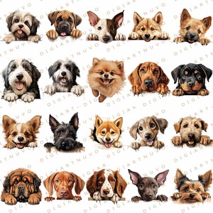 Dog Cut File, Dog Digital Download, Dog Png Bundle, Dog Print Png, Cute ...