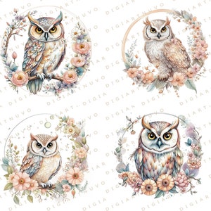 Watercolor Owl, Owl Art, Owl PNG, Owl Wall Art, Journaling Clip Art ...