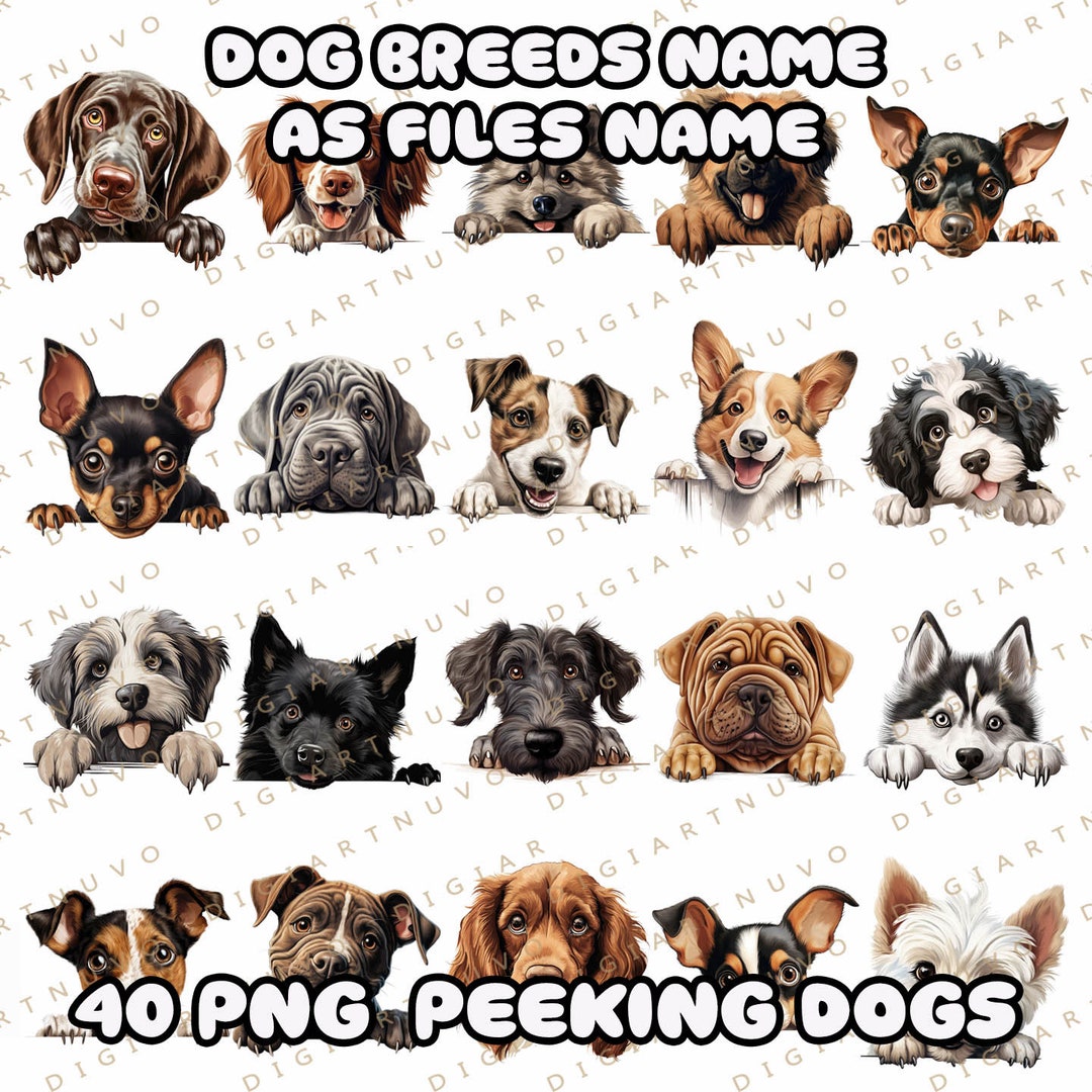Dog Cut File, Dog Digital Download, Dog Png Bundle, Dog Print Png, Cute ...