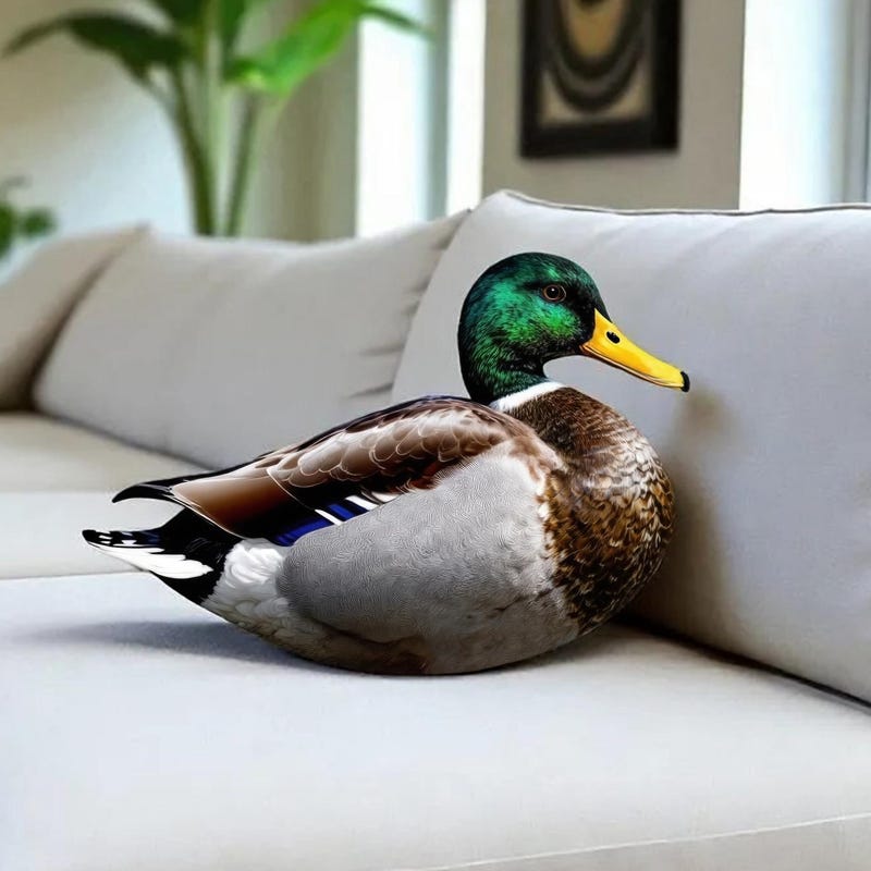 Duck Pillow - Etsy