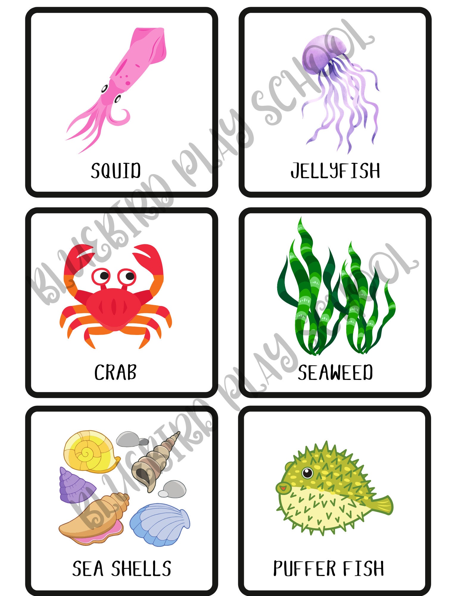 Ocean Theme Visual Flashcards Daycare Circle Time Language Builder ...