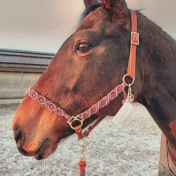 Horse Macrame - Etsy