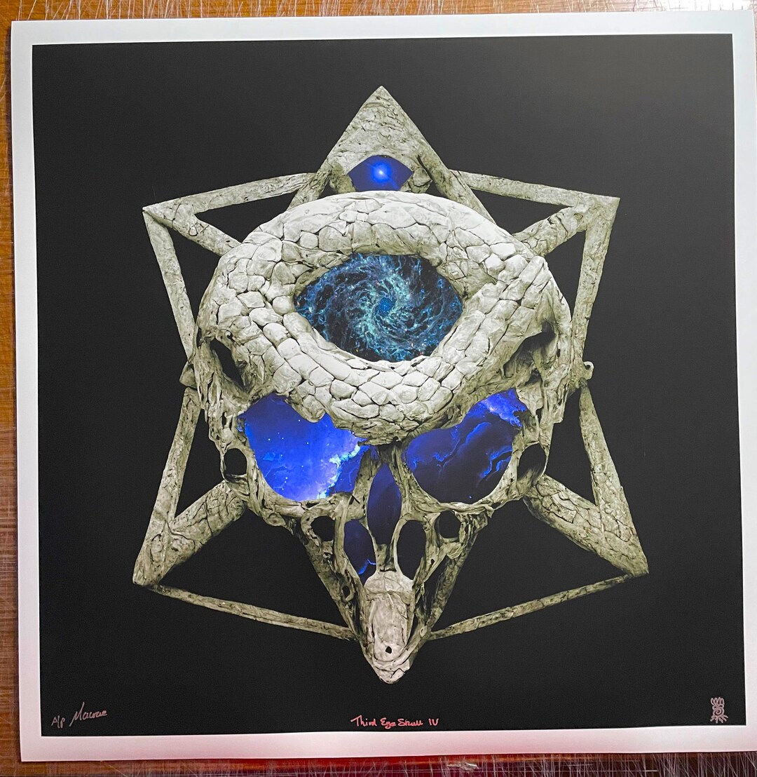 Third Eye Skull Vol IV 17x17 Full Sized Matte Edition AP - Etsy