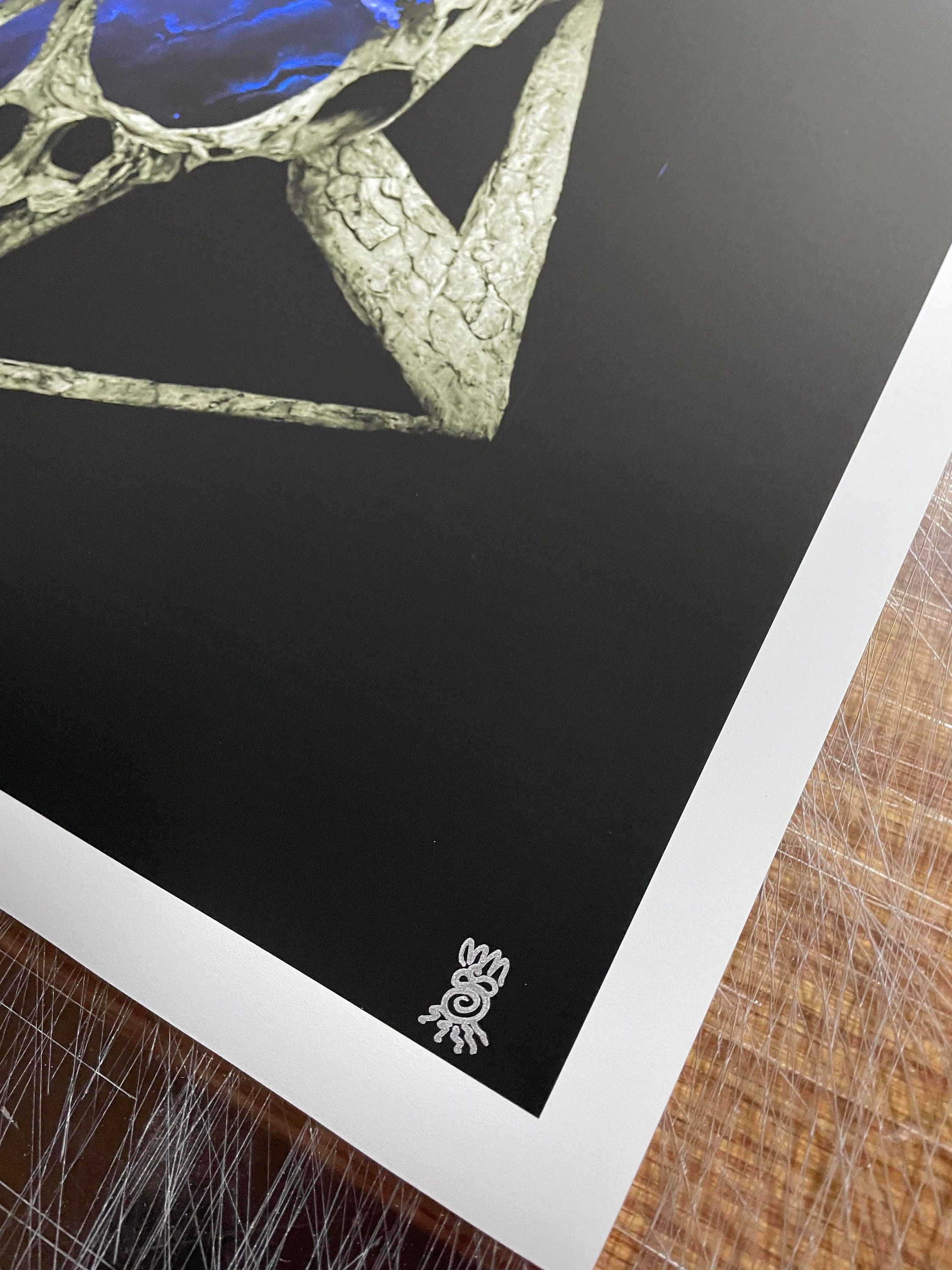 Third Eye Skull Vol IV 17x17 Full Sized Matte Edition AP - Etsy Ireland