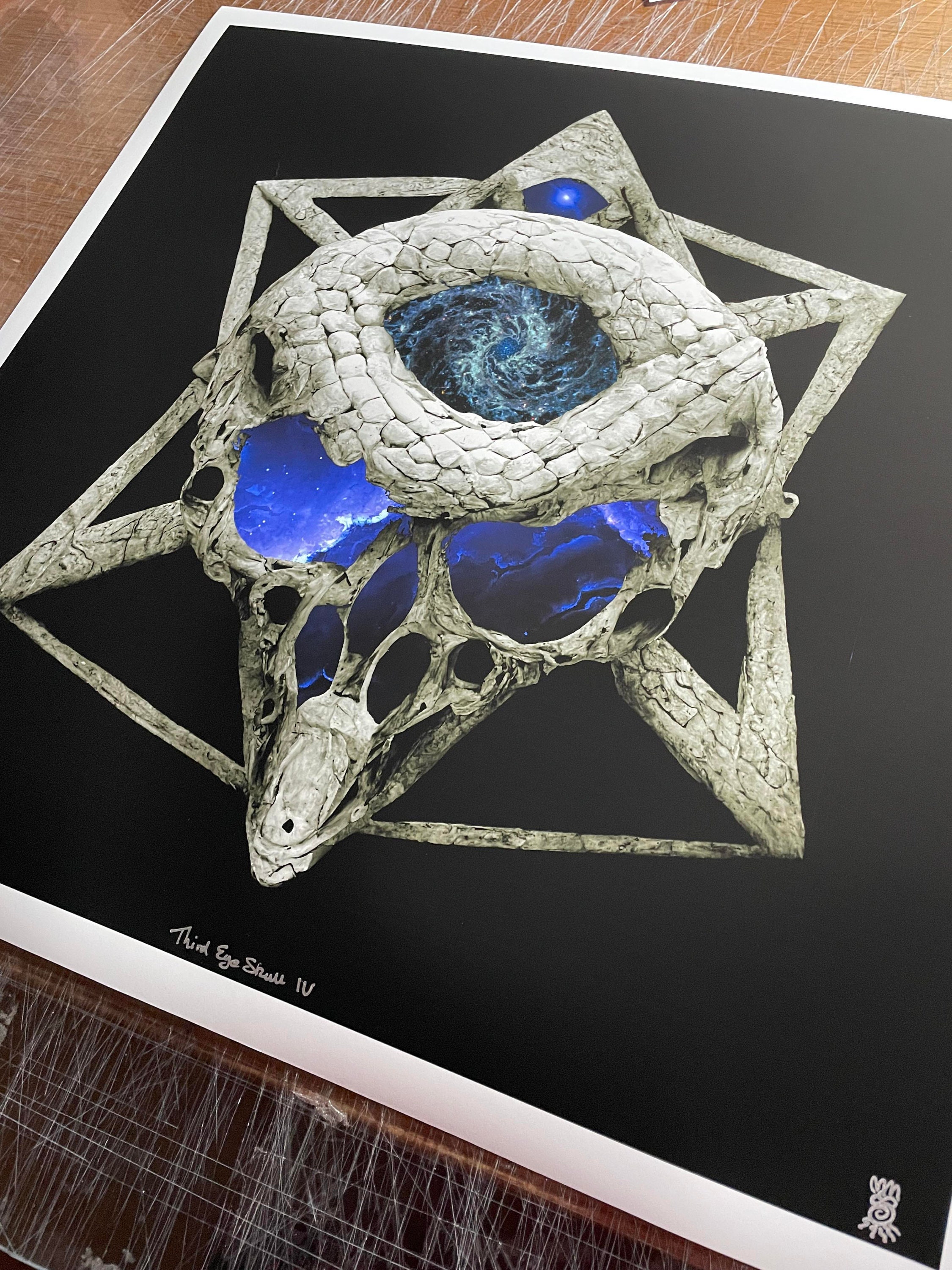 Third Eye Skull Vol IV 17x17 Full Sized Matte Edition AP - Etsy Ireland