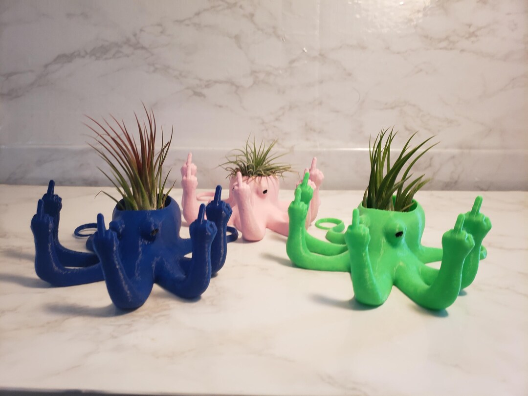 Middle Finger Octopus Planter - Etsy