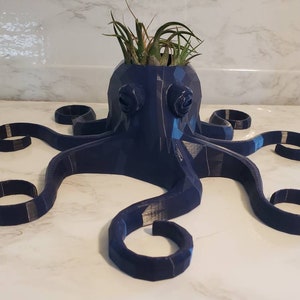 Octopus Planter, Large - Etsy