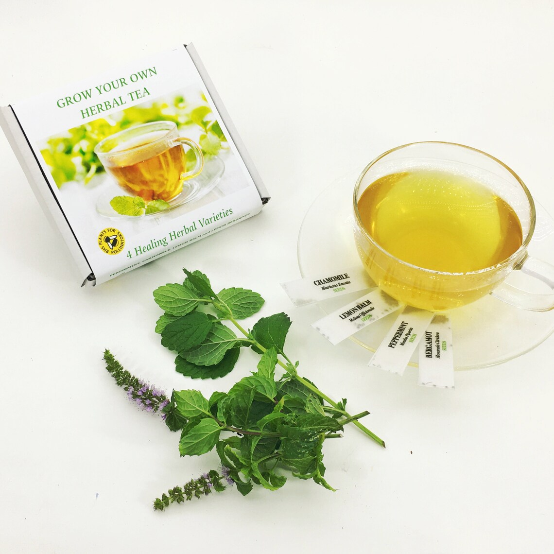 Herbal Tea Seed Gift Box Grow Your Own Mindfulness Present. - Etsy UK