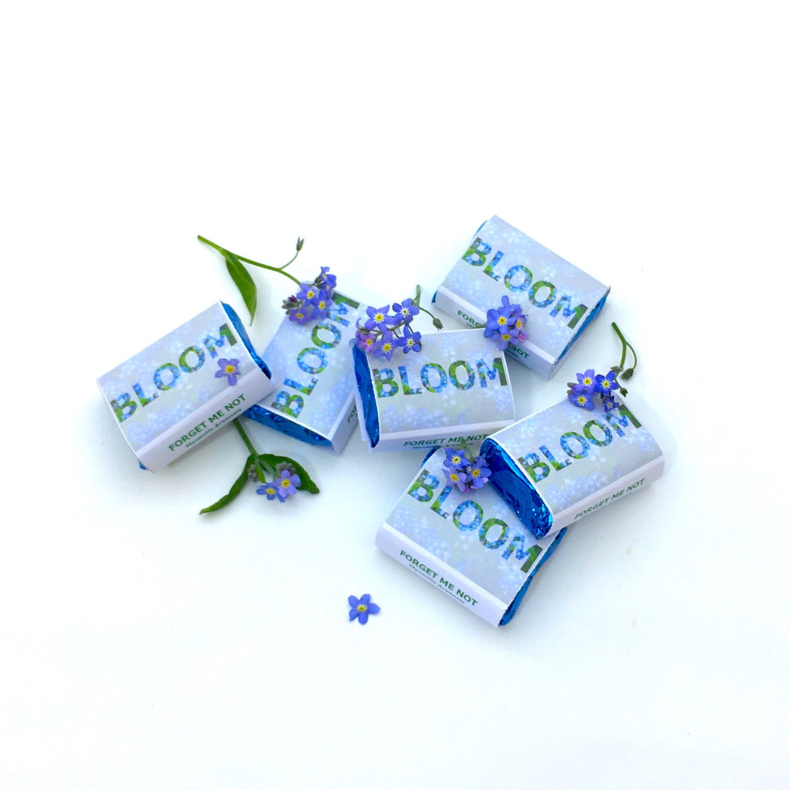 Forget-me-not Seed Bomb Bee Friendly Lawn Flower - Etsy UK