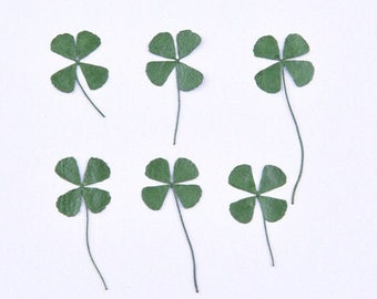 Embossed Clover Leaf - Etsy