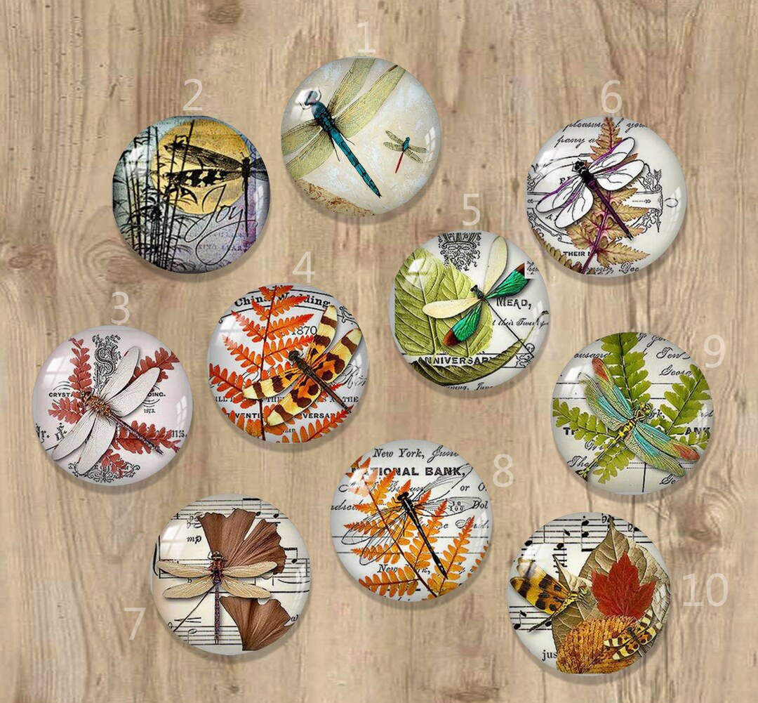 Handmade Photo Glass Cabochon, Round Cabochons, Cabs Cabochons, Image ...