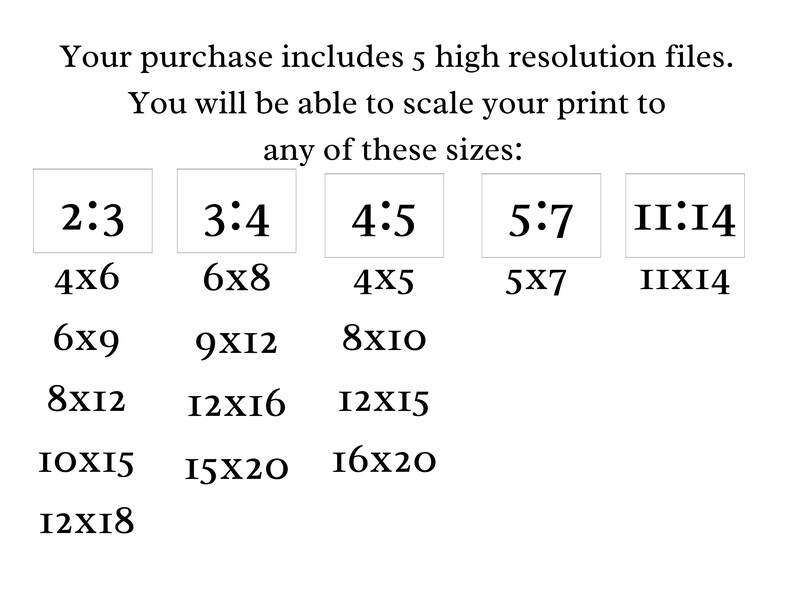 Oyster Shells Chinoiserie Printable Art Nursery Wall Art - Etsy