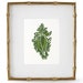 Green Seashell Printable Art ~ Wall Art ~ Green Shell Posters ...