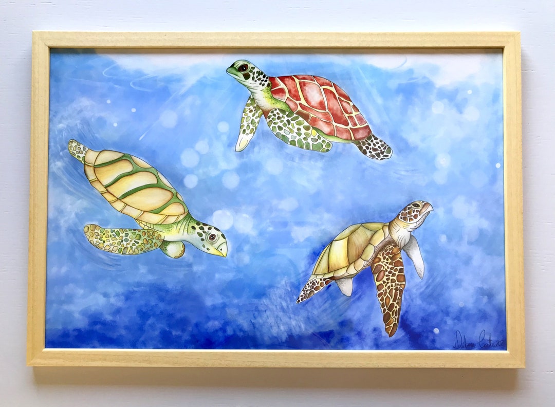 Illustration Turtles, Sea Turtles, Frame, Decoration, Reproduction of ...