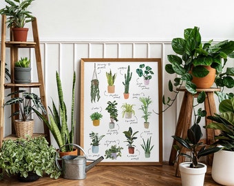 House Plant Botanical Poster - Etsy