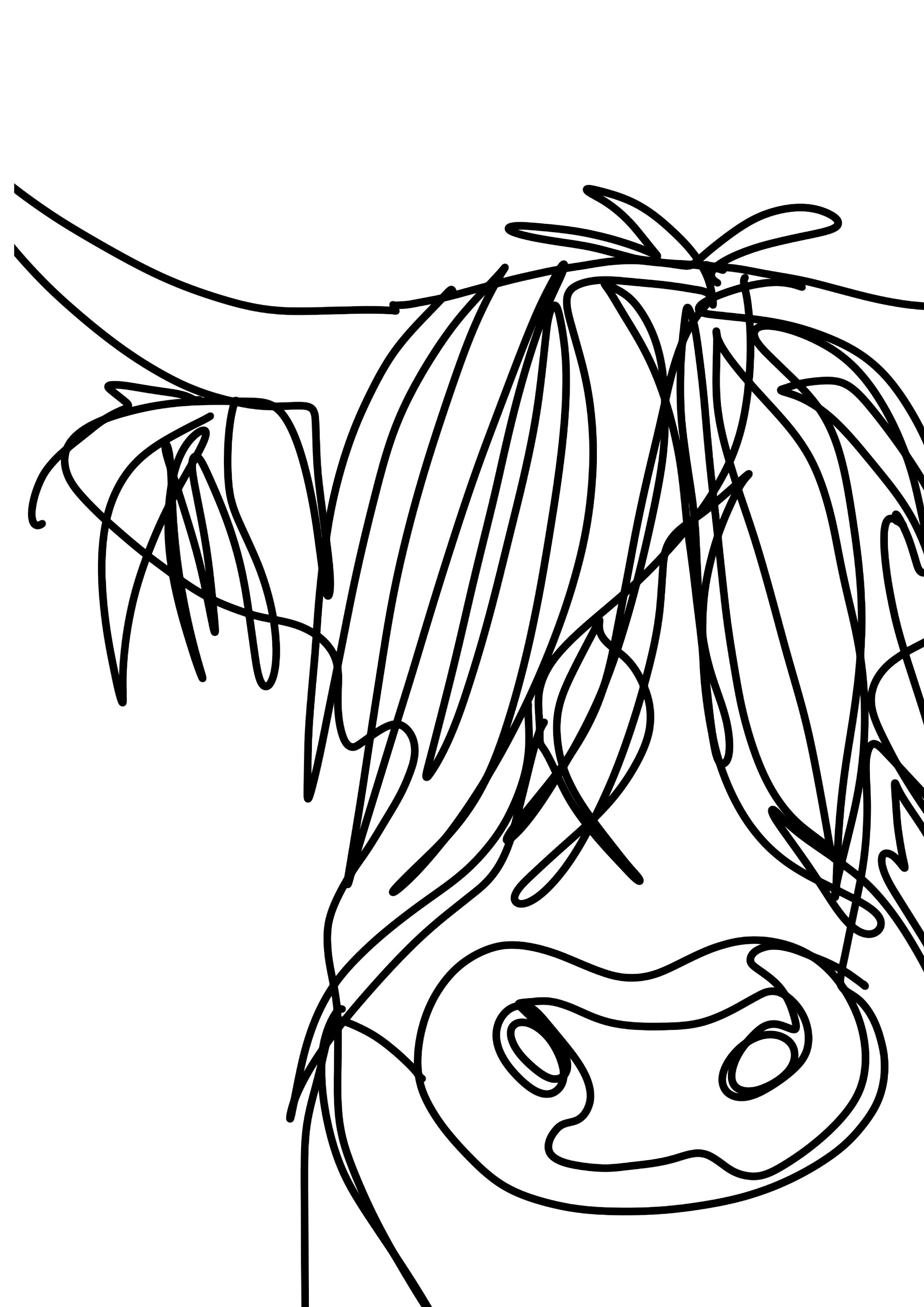 Highland Cow Art Print / Line Wall Art / Animal Art / Line Art - Etsy UK