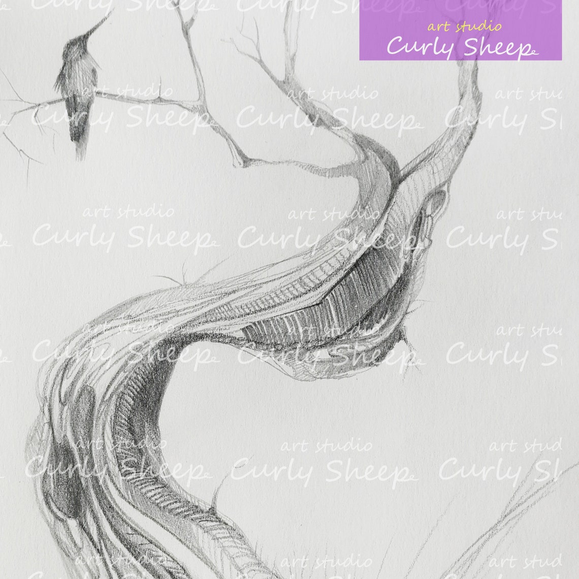 Tree Pencil Drawing A4 Bird On Tree Drawing Pencil Sketch | Etsy