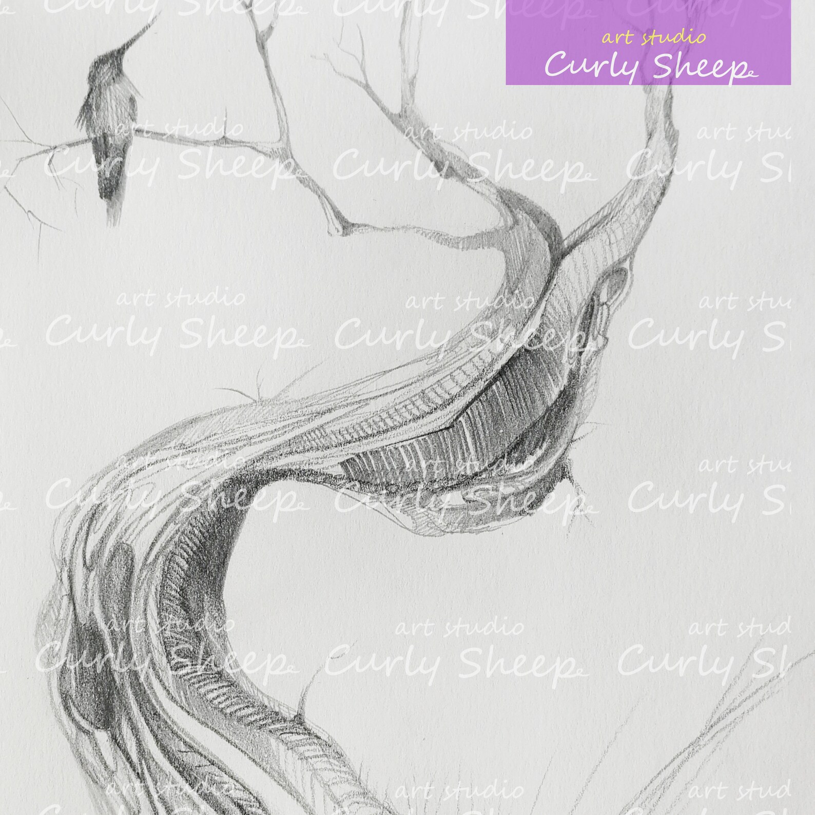 Tree Pencil Drawing A4 Bird On Tree Drawing Pencil Sketch | Etsy