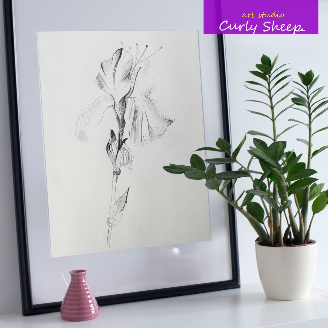 Flower Handmade Pencil Drawing A4, Flowers Pencil Sketch Original ...
