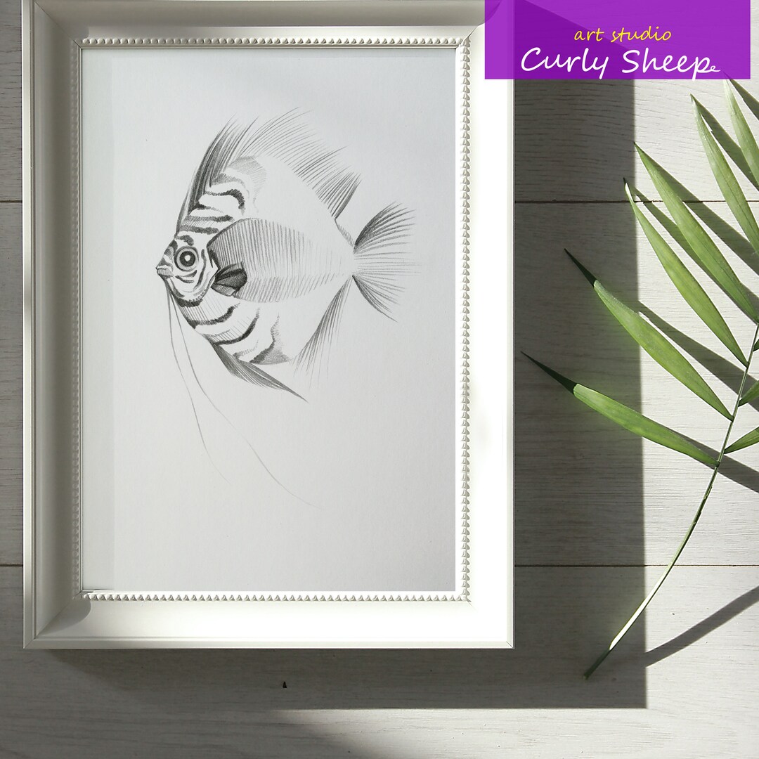 Fish Pencil Drawing A4, Pencil Sketch, Fish Pencil Sketch, Original ...