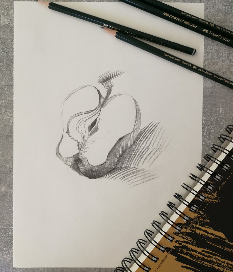 Apple Pencil Drawing A4, Pencil Sketch, Apple Drawing, Original Pencil ...