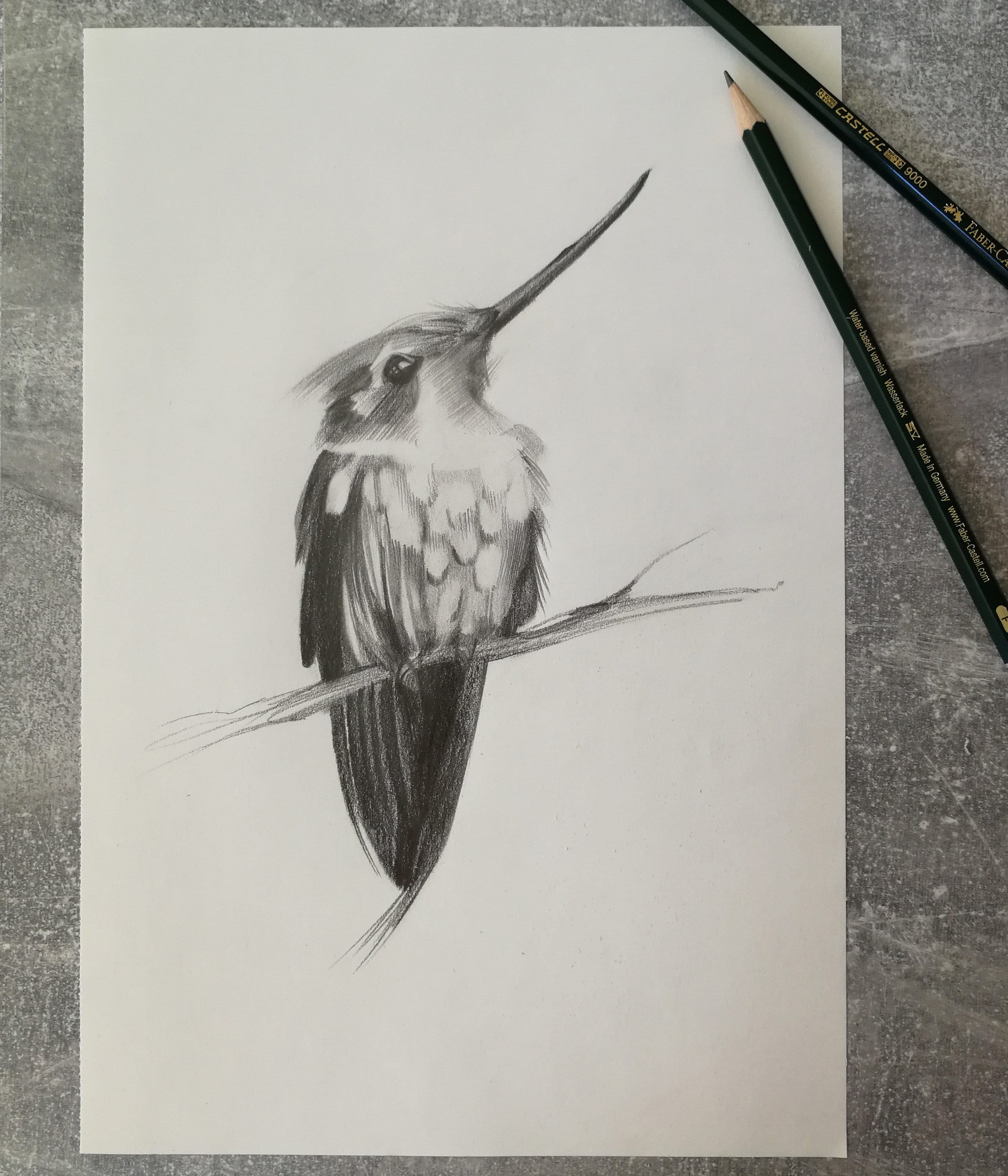 Dibujo a lápiz de pájaro A4, dibujo de colibrí, boceto a lápiz, dibujo ...