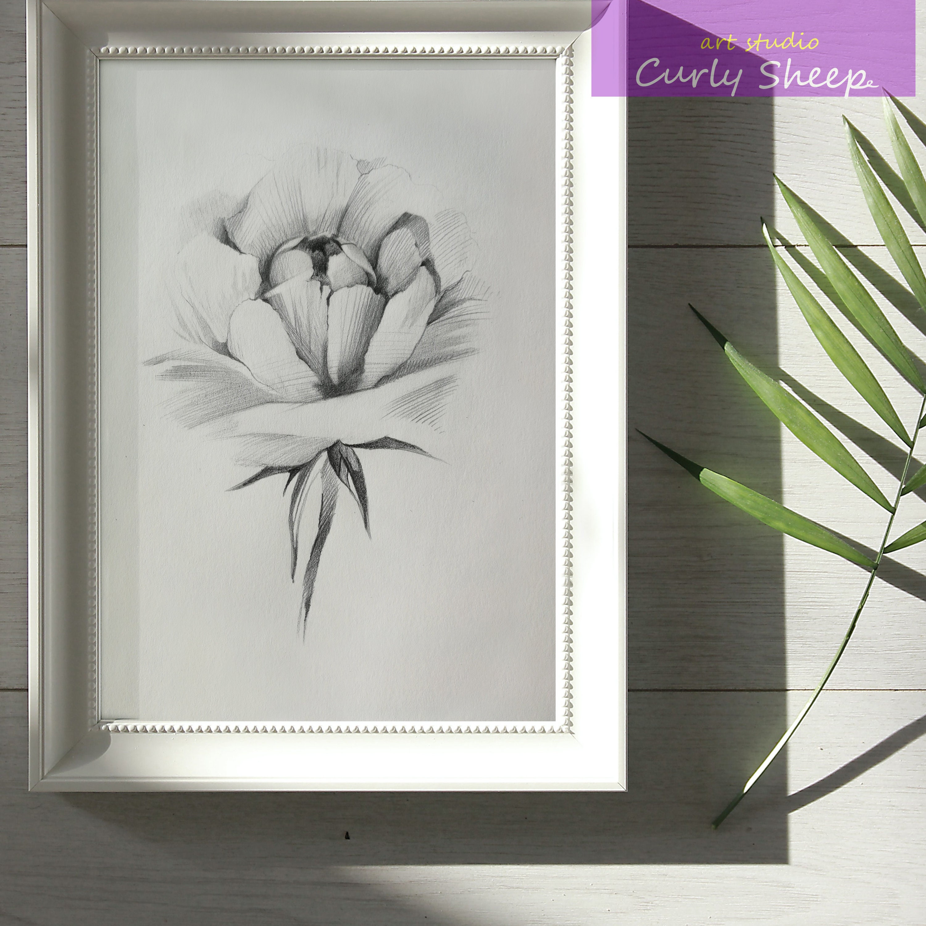 Flower Pencil Drawing A4 Peony Drawing Flowers Pencil - Etsy