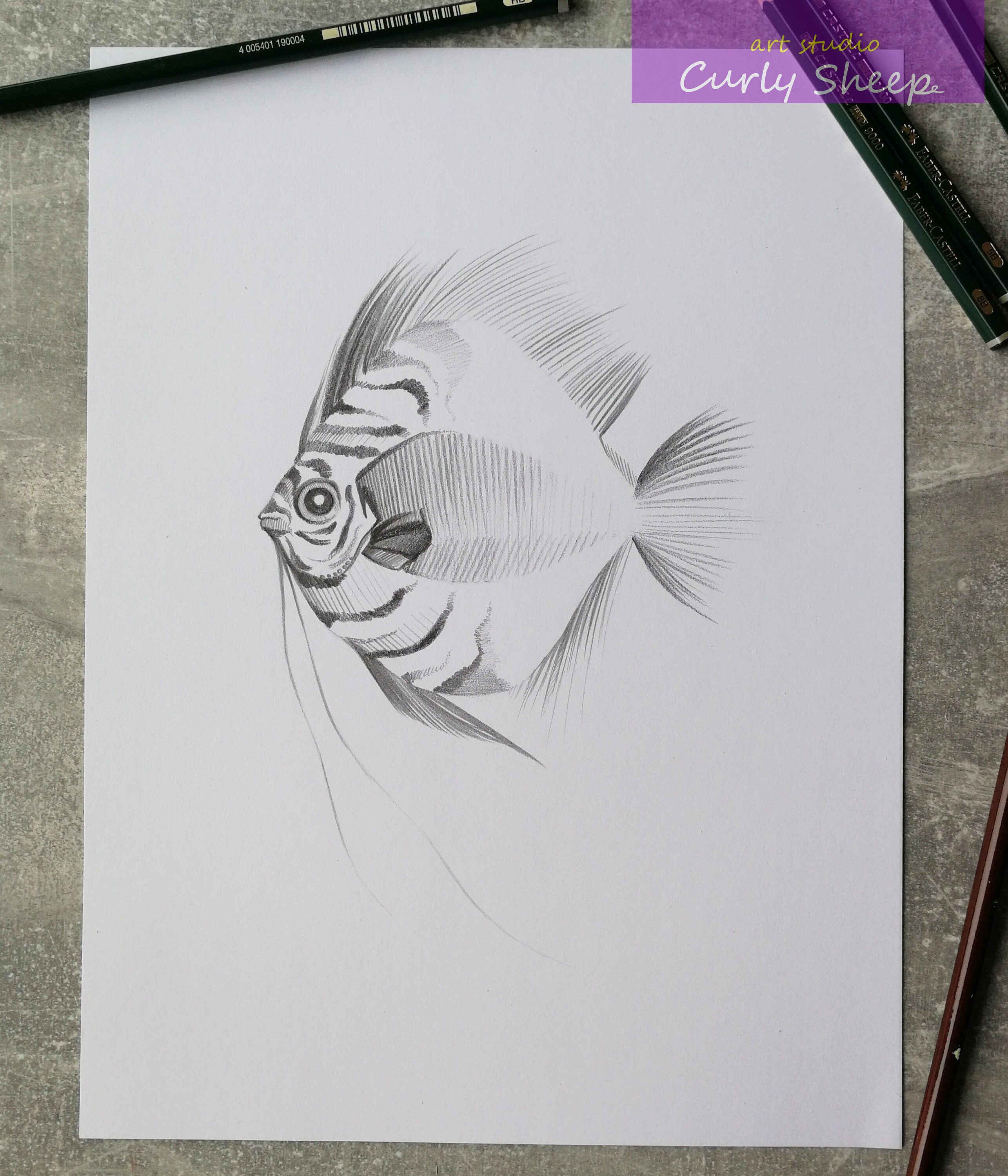 Fish Pencil Drawing A4, Pencil Sketch, Fish Pencil Sketch, Original ...