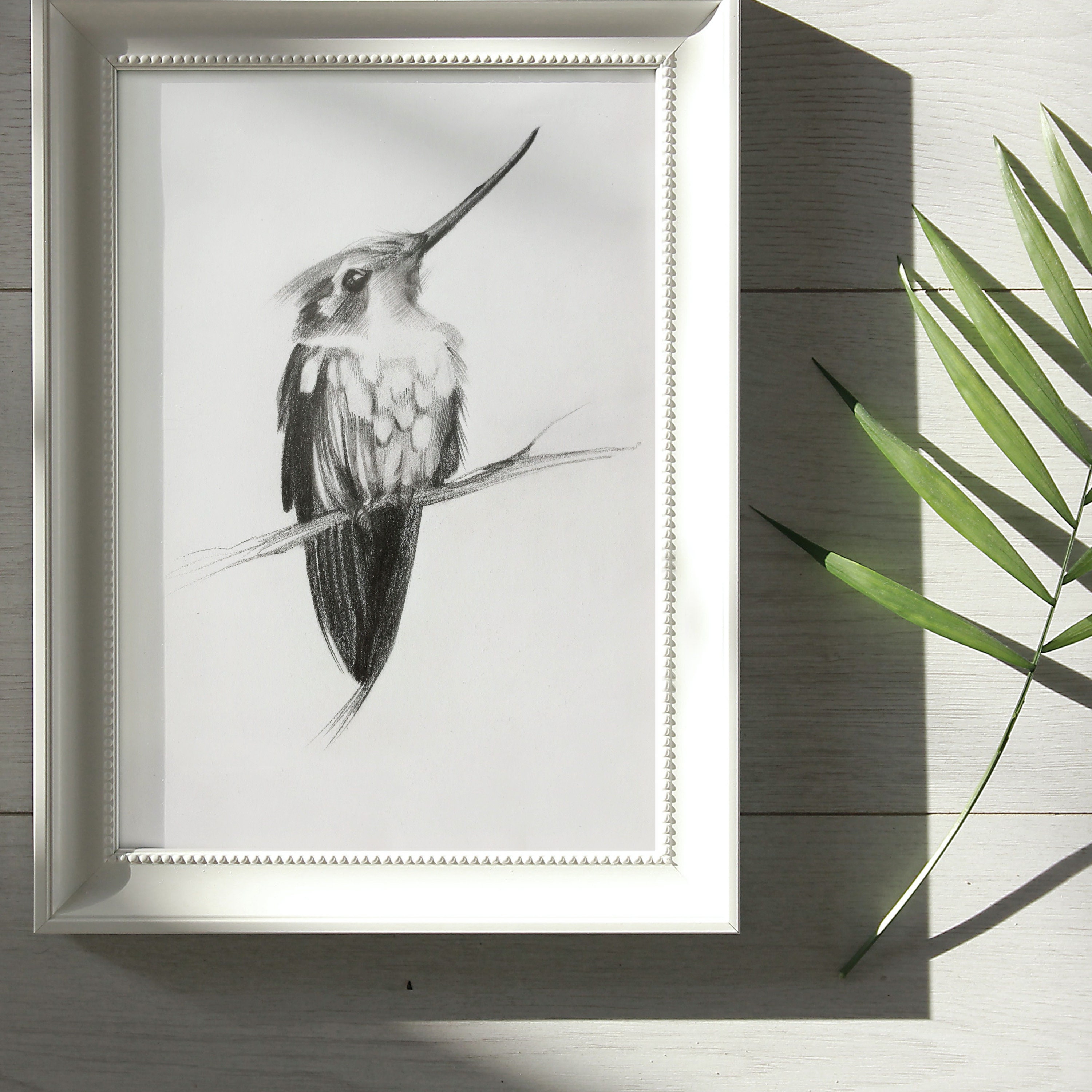 Croquis Au Crayon De Colibris